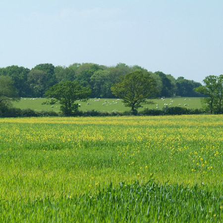 Rush Farm | Rush Farm Children's Garden