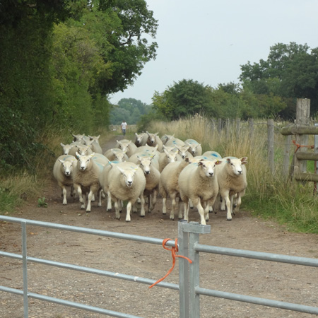 Rush Farm | Rush Farm Children's Garden